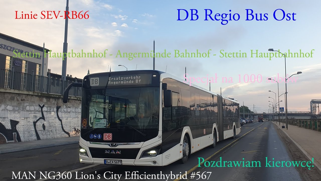 Linie SEV-RB66 Stettin HBF - Angermünde BF - Stettin HBF MAN NG360 Lion's City Efficienthybrid ...