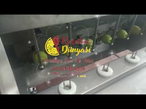 Kurutma Tesisi Ekipmanları, Meyve Sebze Kurutma Fırını, Elma Göbek Alma Soyma Makinesi