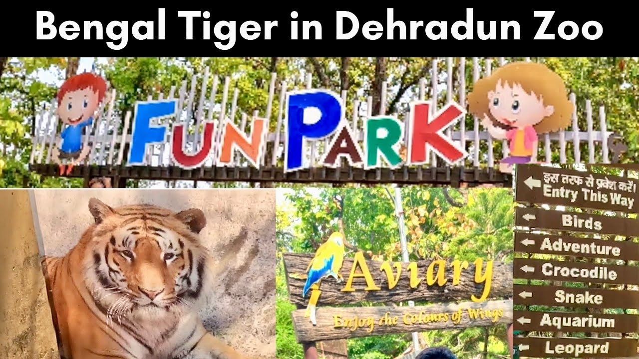 Bengal Tiger 🐅 In Dehradun Zoo || Best Place To Visit With Family ...