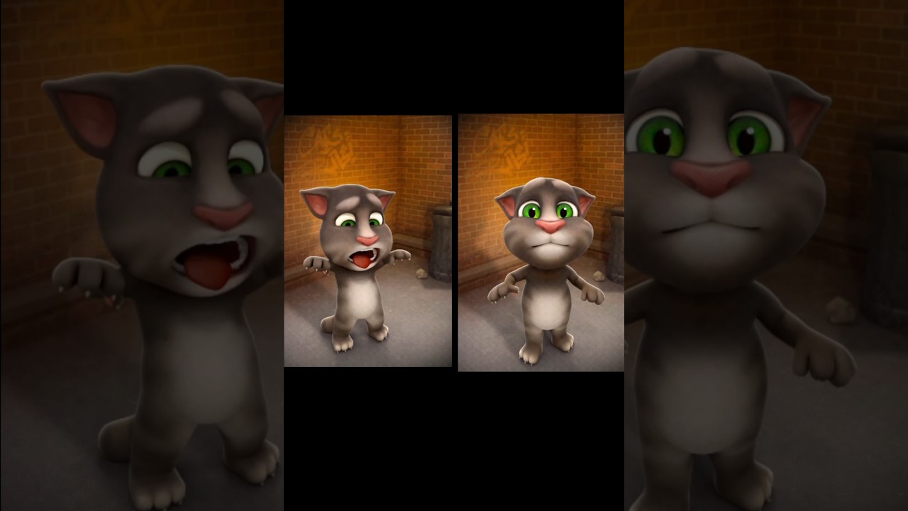 TALKING TOM PART 3 - YouTube