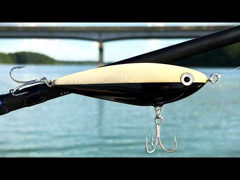 Lightest and Darkest Woods in the World | One Day Build to Catch