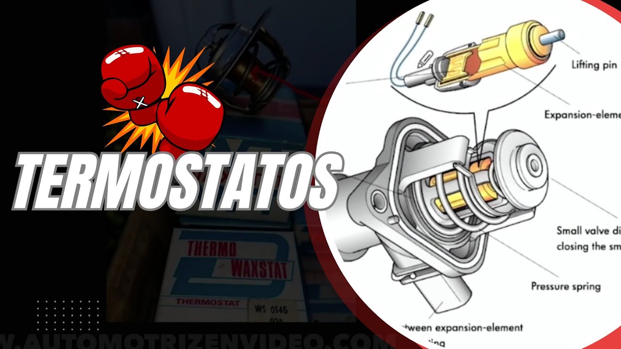 Termostato Waxstat vs Termostato con Control Electrónico - YouTube