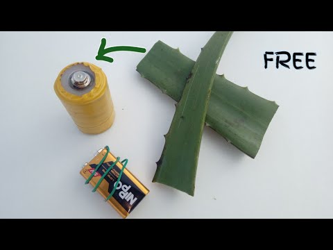 Aloe vera battery | Aloe vera cell | Making a Aloe vera cell | How to ...