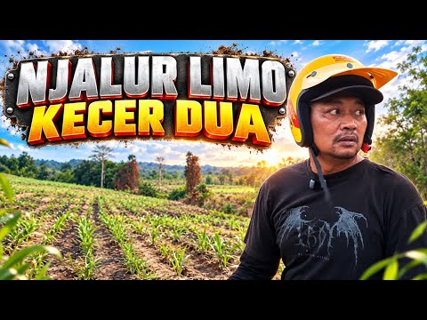 NJALUR BERLIMA HILANG DUA ( kesasar) || GOLEK2AN SAMPAI MAGREB LAGI KETEMU..