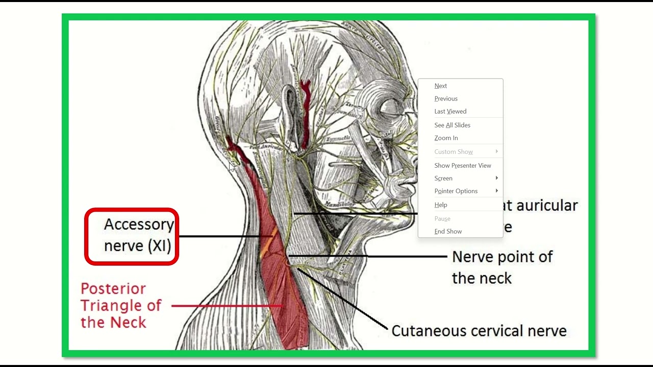 MRCS question solve (CRACK MRCS) Shrugging of shoulder muscle and nerve ...