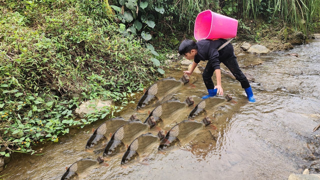 Stream fish catching skills orphan boy Duong with his natural talent ...