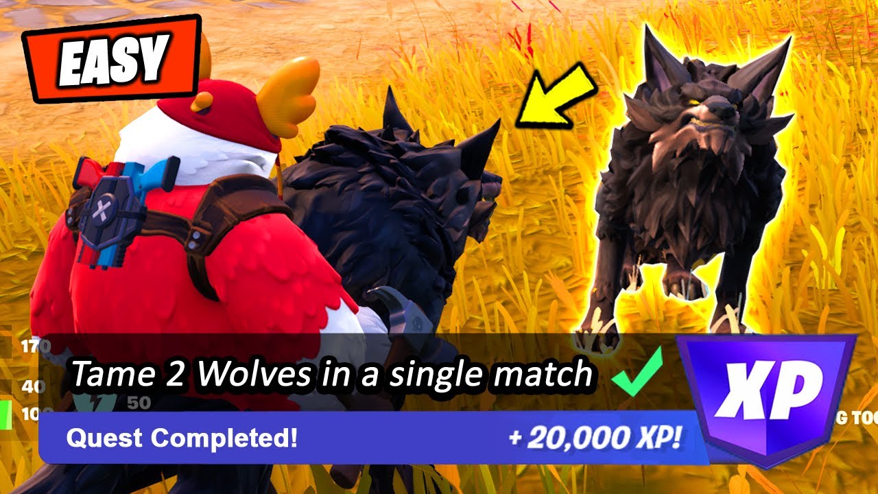 Tame Wolves in a Single Match & Wolves Locations - Fortnite Quests ...
