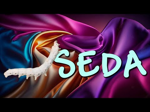 Cómo se produce la SEDA - YouTube