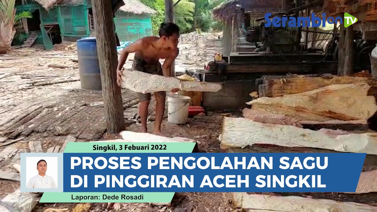 Melihat Proses Pengolahan Sagu di Pinggiran Sungai Aceh Singkil - YouTube