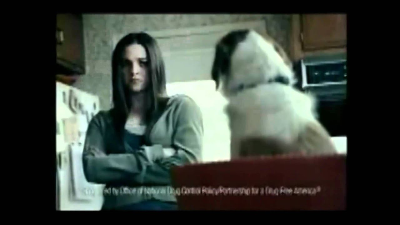 Anti Weed Commercial. Talking Dog. Original - YouTube