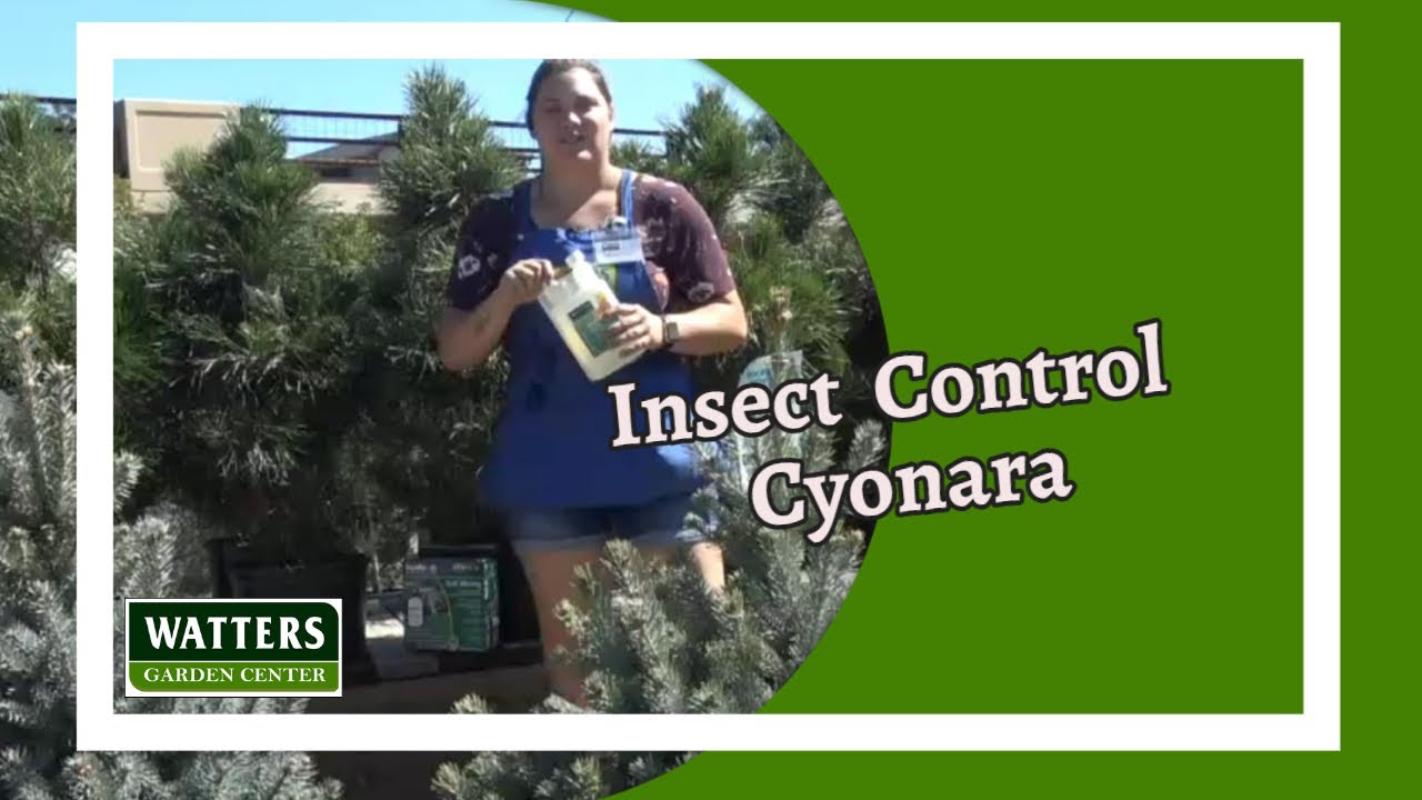 Insect Control - Cyonara - YouTube