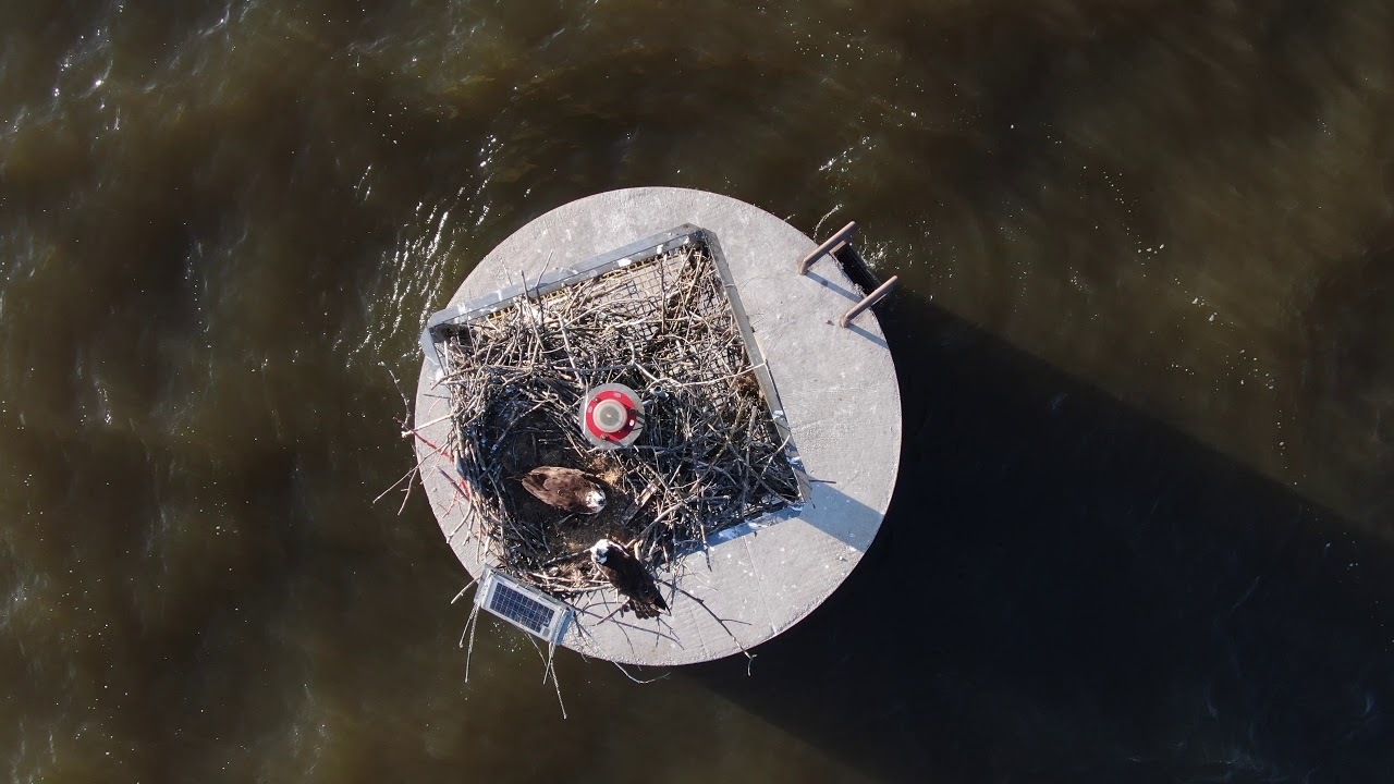osprey attack - YouTube