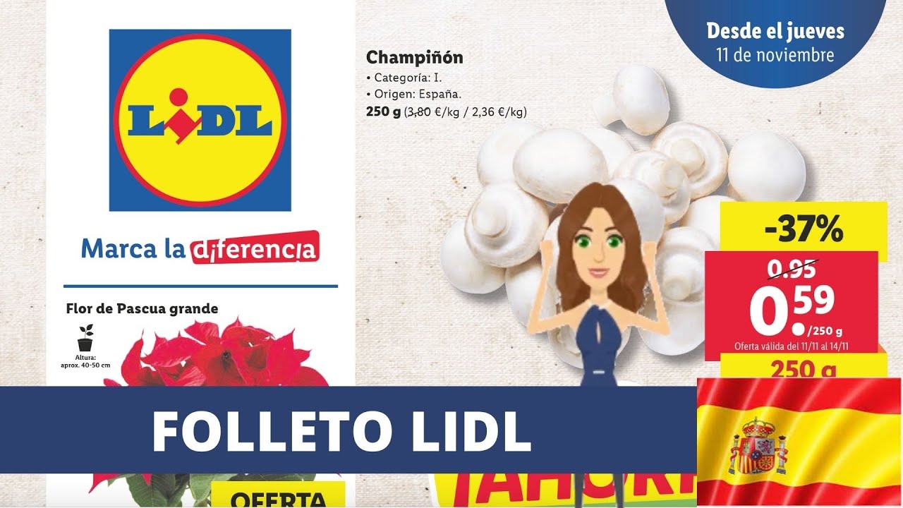 *Próxima Semana* LIDL Catálogo Del 11 hasta 17 noviembre 2021 - YouTube