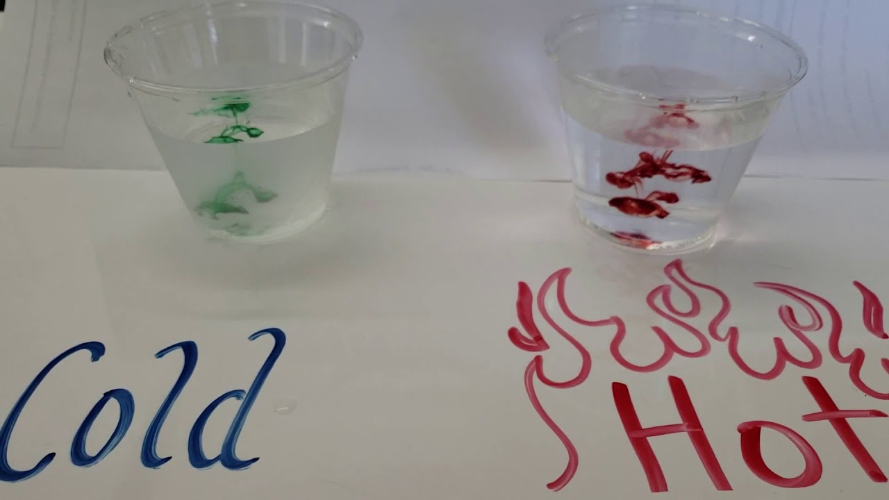 Thermal Energy and Molecular Motion Virtual Lab - YouTube