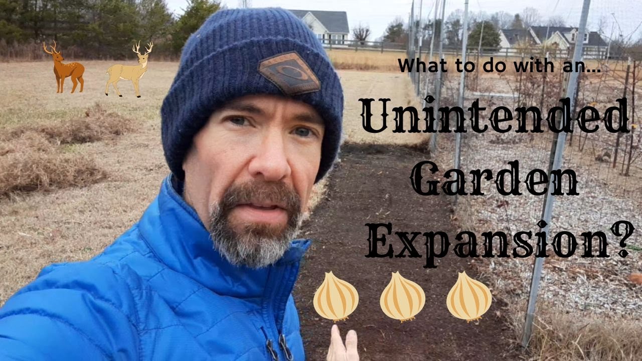 Did I Just Create 360 Square Feet of New NO-DIG Garden Space by ...