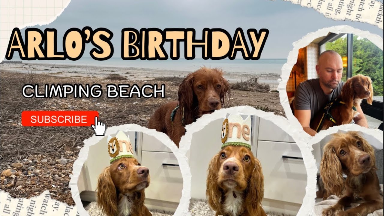 Climping Beach, Dog Walk, Calming music, Relaxing, Sleep, Cocker ...