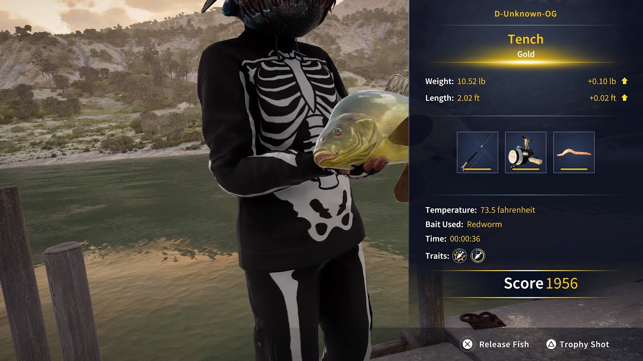 Tench Location Challenge 3 - Catch A Gold Rank Or Higher Tench - Call ...