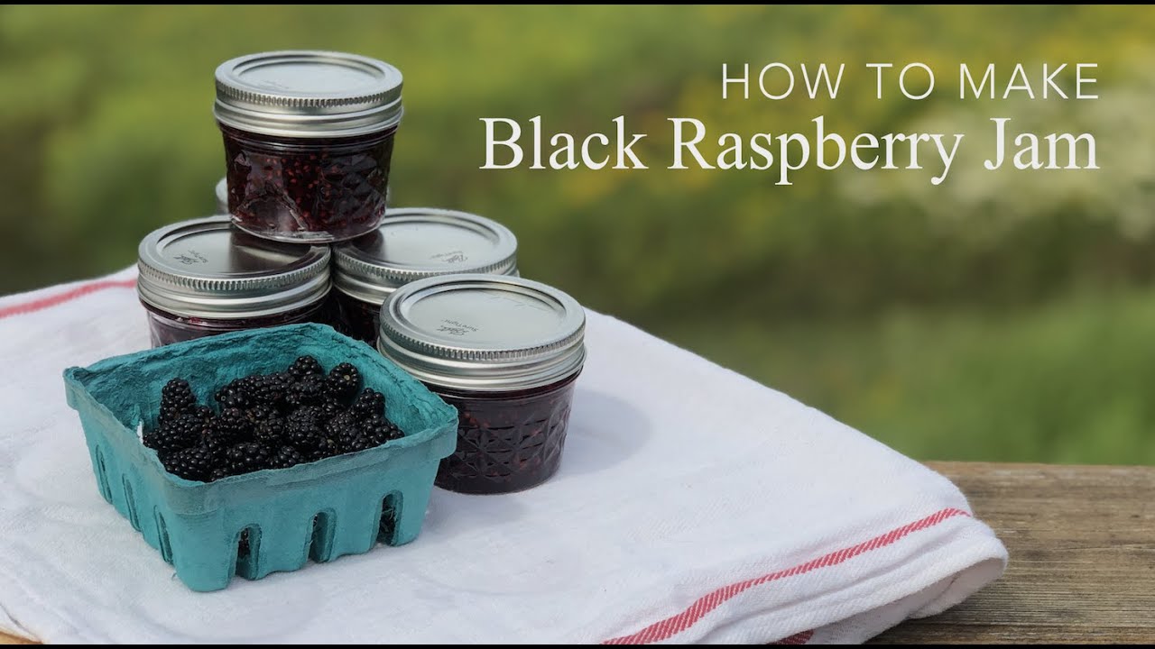How to Make Black Raspberry Jam - YouTube