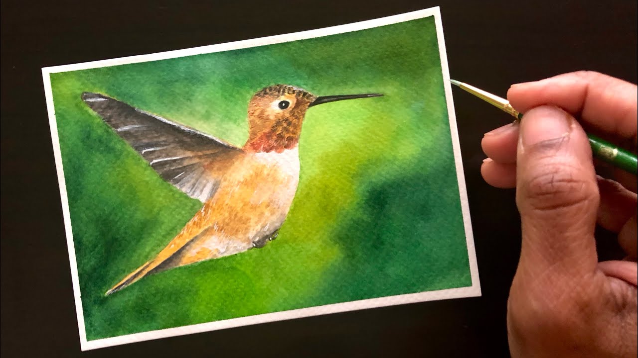 Painting Realistic Hummingbird With Watercolors |Easy Step By Step ...