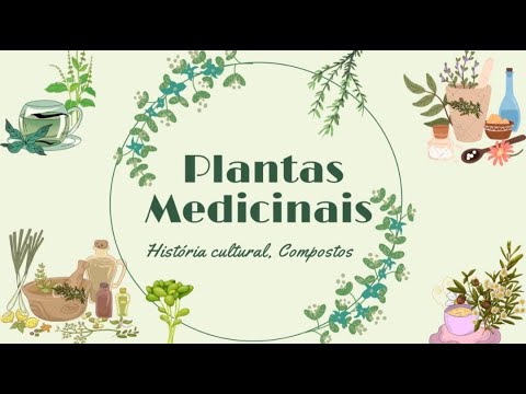 Plantas Medicinais - História cultural e Compostos