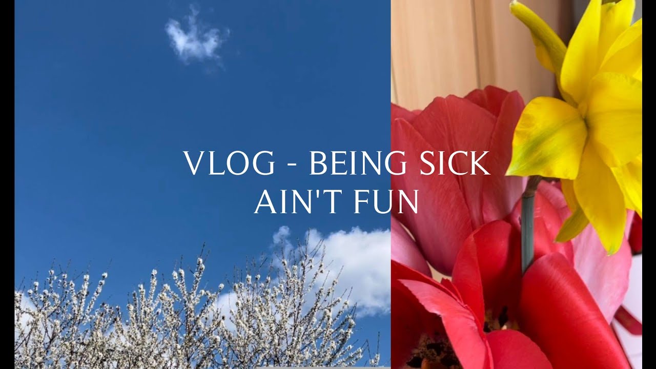 VLOG Trying To Recuperate YouTube vlog-trying-to-recuperate-youtube