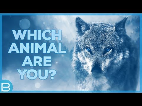 What Animal Do You See Yourself As Psychology