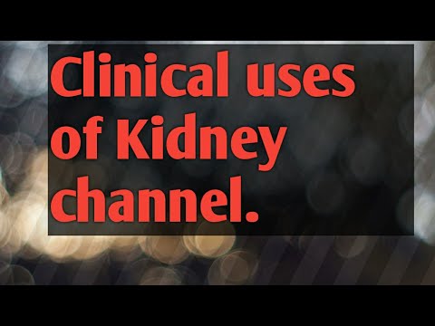 Clinical uses of kidney channel. - YouTube