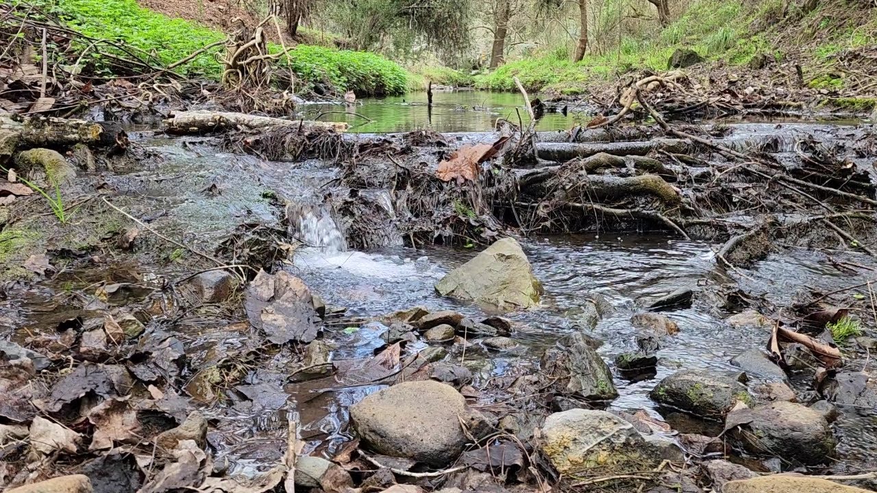 Flowing Water Stream Nature Sounds For Sleep Relaxation Meditation Fall ...