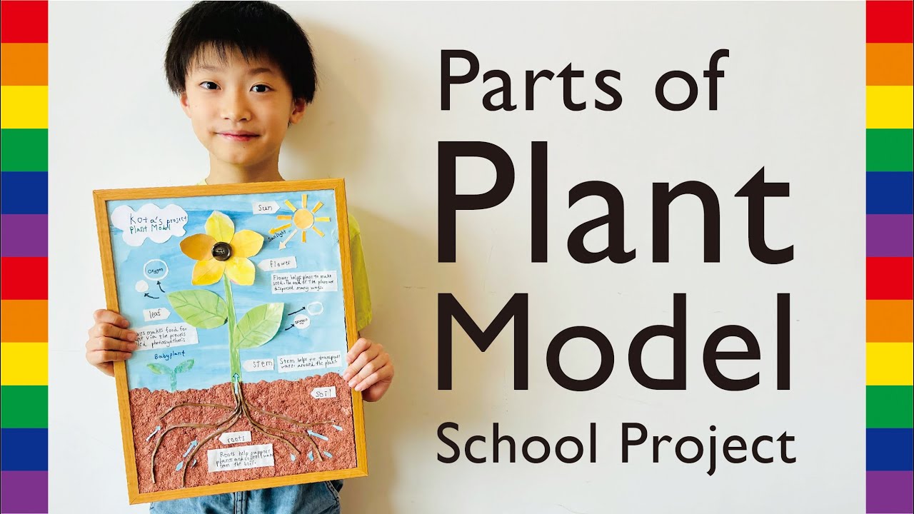 Parts of Plant Model for Science Project/School Project - YouTube
