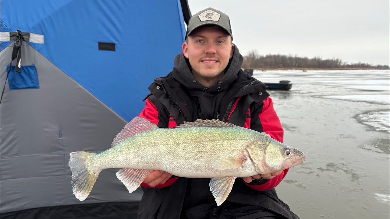EPIC DAY ON THE RED WITH FRIENDS (HUGE WALLEYE LANDED) - YouTube