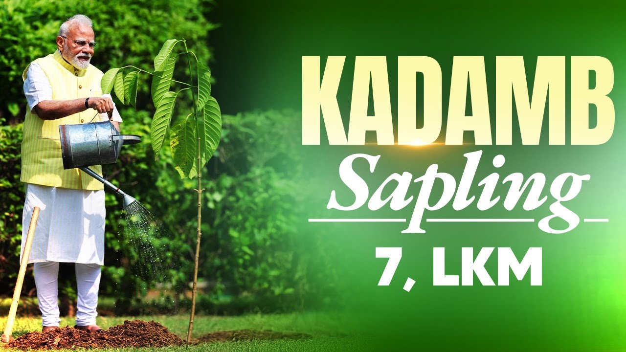 PM Modi plants a Kadamb sapling at 7, LKM gifted by His Majesty King ...