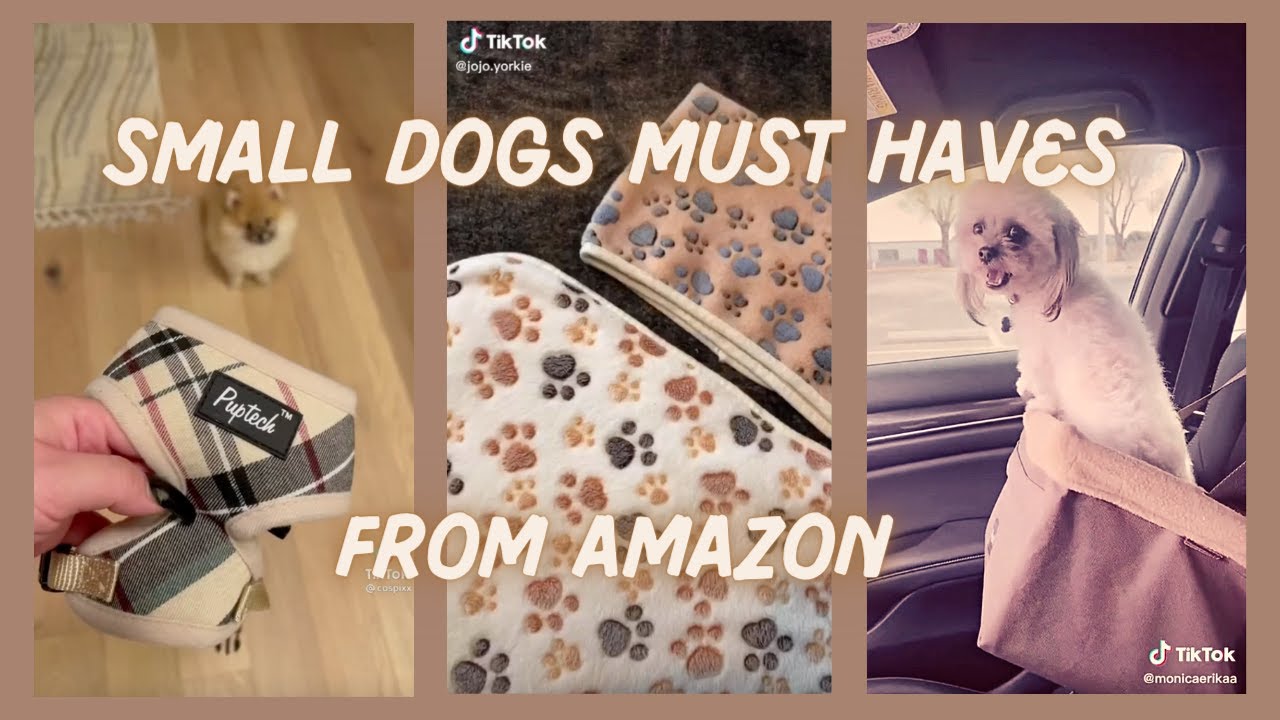Small Dog Breeds Amazon finds/must haves Tik Tok compilation (with ...