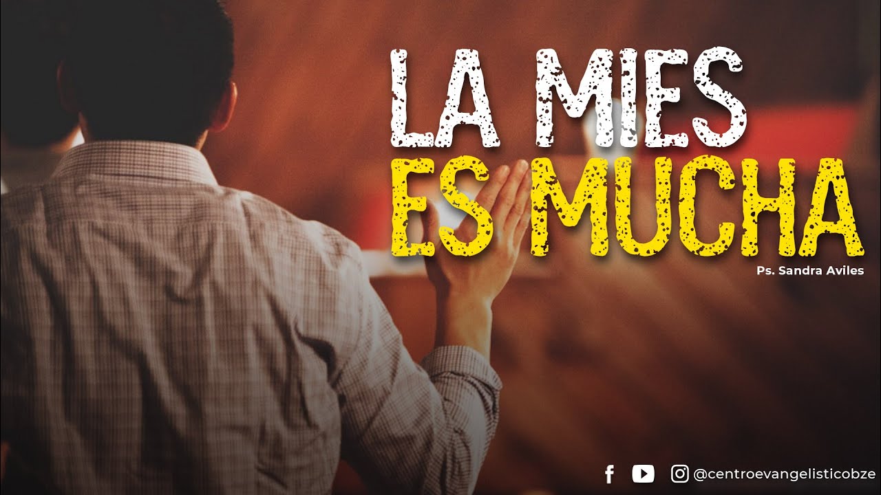 La Mies Es Mucha - YouTube