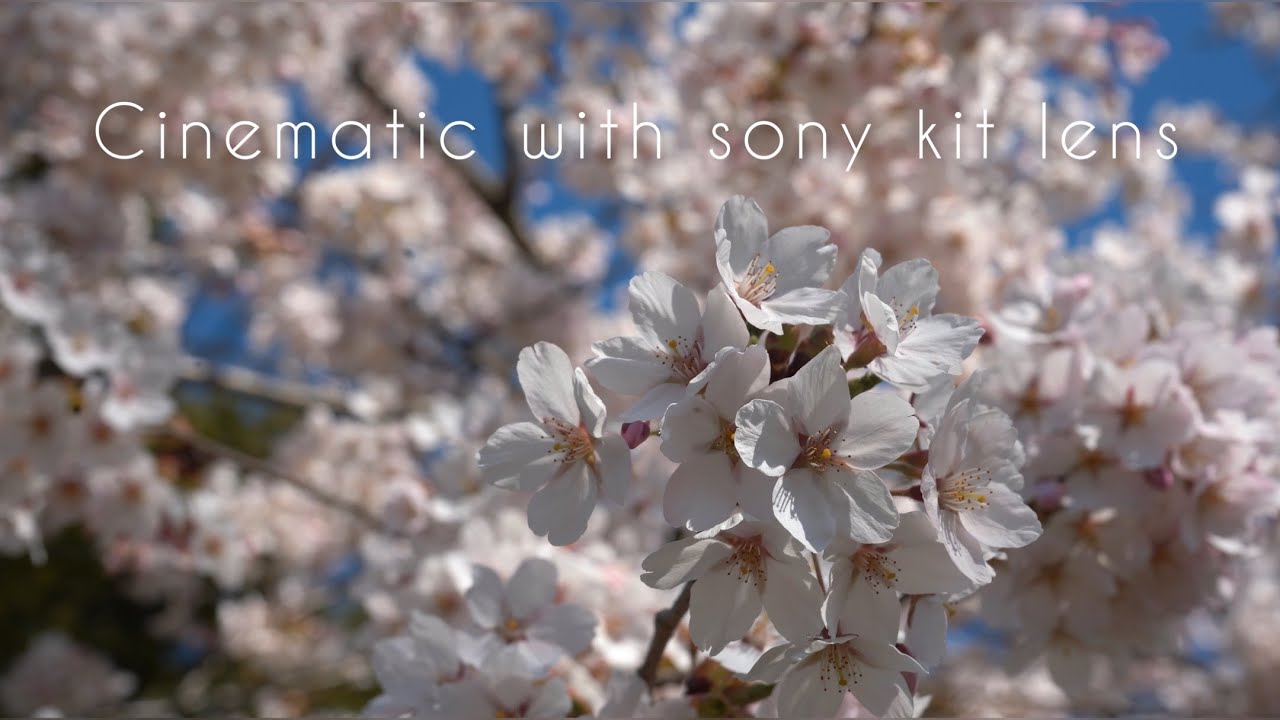 My first Cinematic short video - YouTube