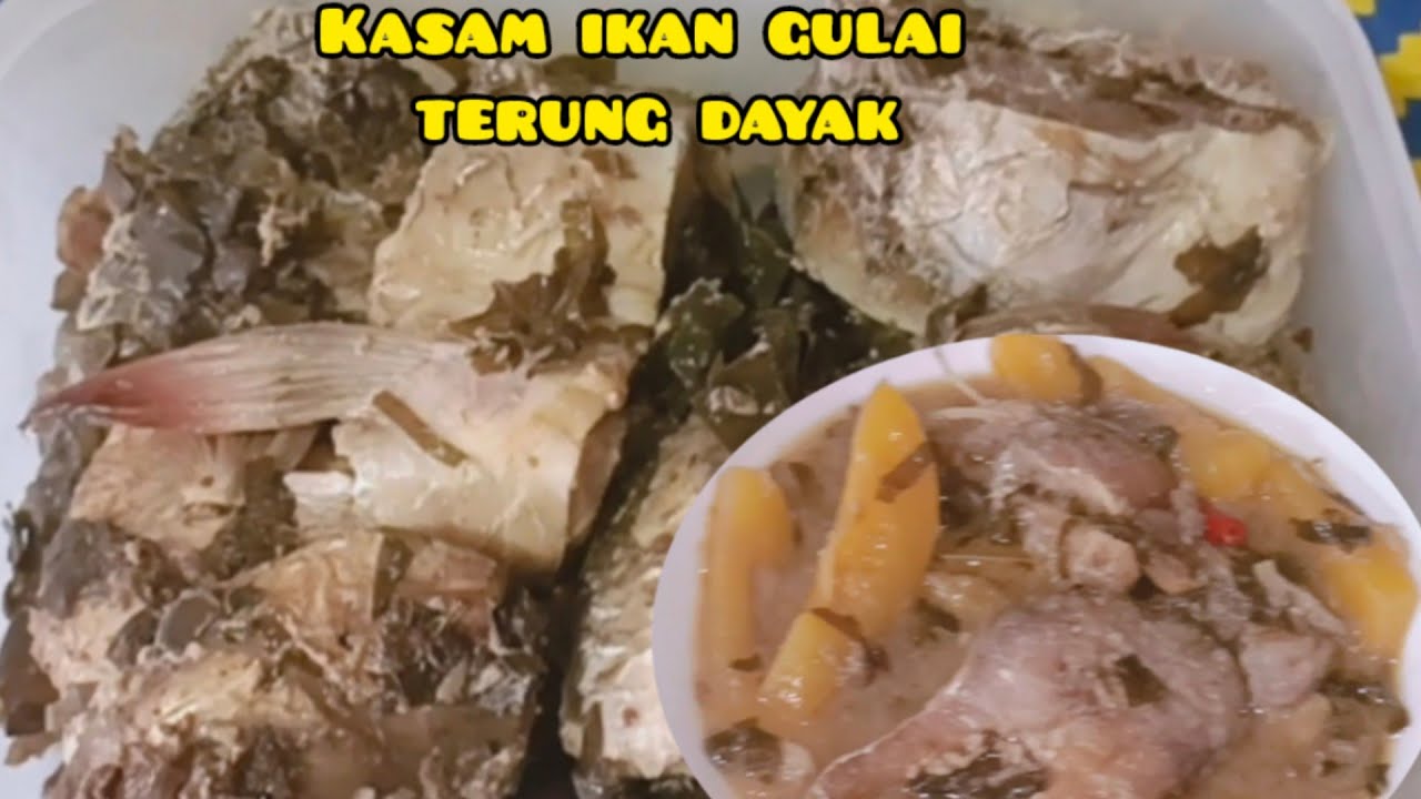 MASAK KASAM IKAN CAMPUR TERUNG DAYAK @ TERUNG ASAM.. - YouTube