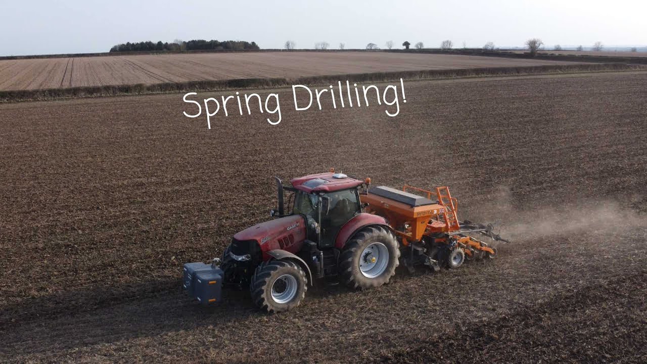 Spring drilling! Direct drilling planting beans - YouTube