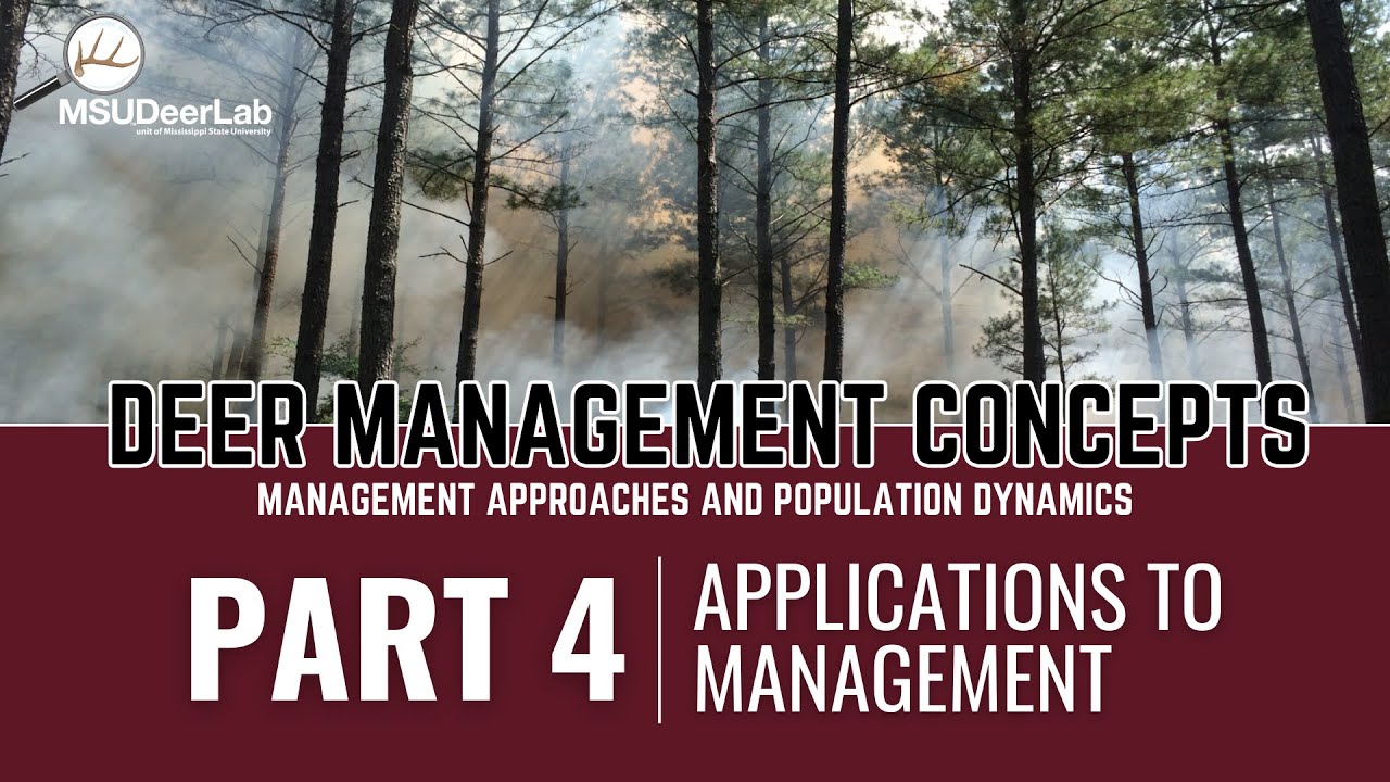 Deer Management Concepts: Management Approaches and Population Dynamics ...