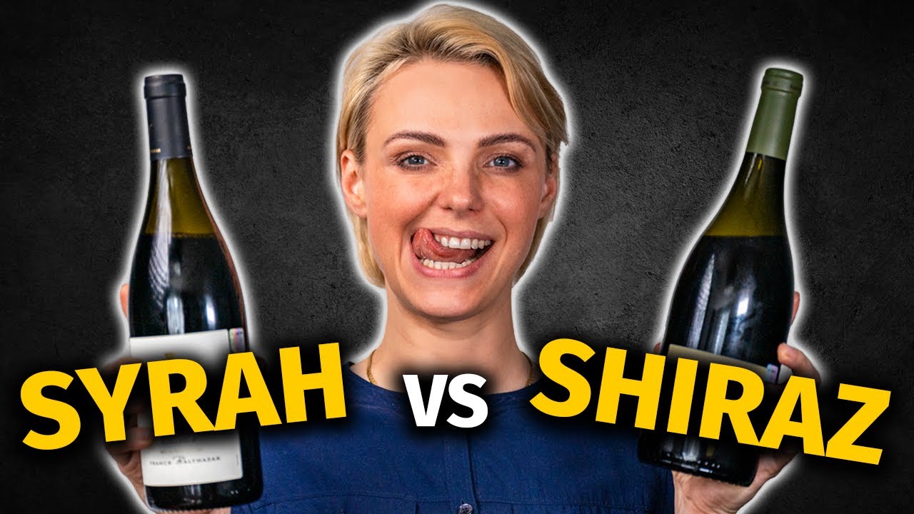 SYRAH vs SHIRAZ: What's the Difference? (Let’s Find Out in a Blind ...