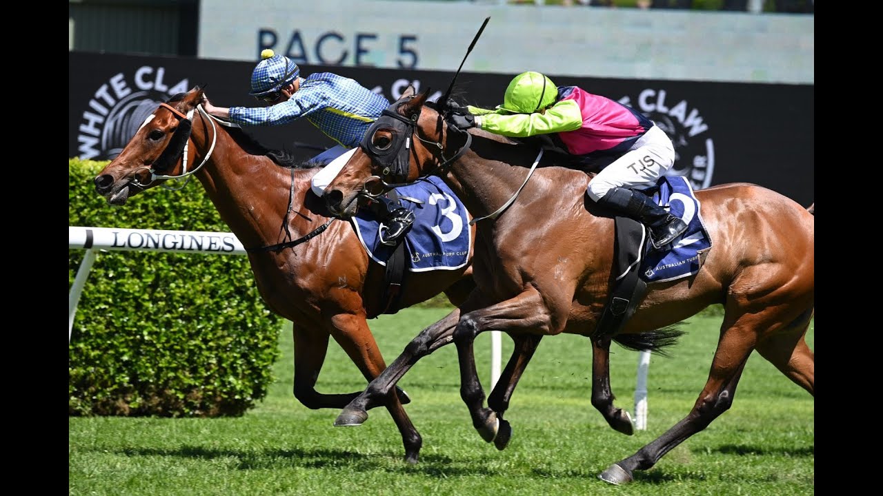 Royal Randwick Racing Preview Big Dance Day (07.11.23) | Sky High Horse ...