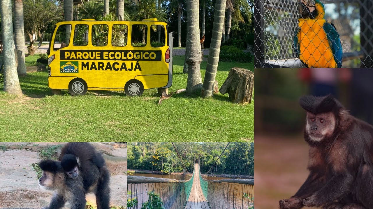 PARQUE ECOLÓGICO DE MARACAJÁ SC |PASSEIO COM A FAMÍLIA | AVENTURA ...