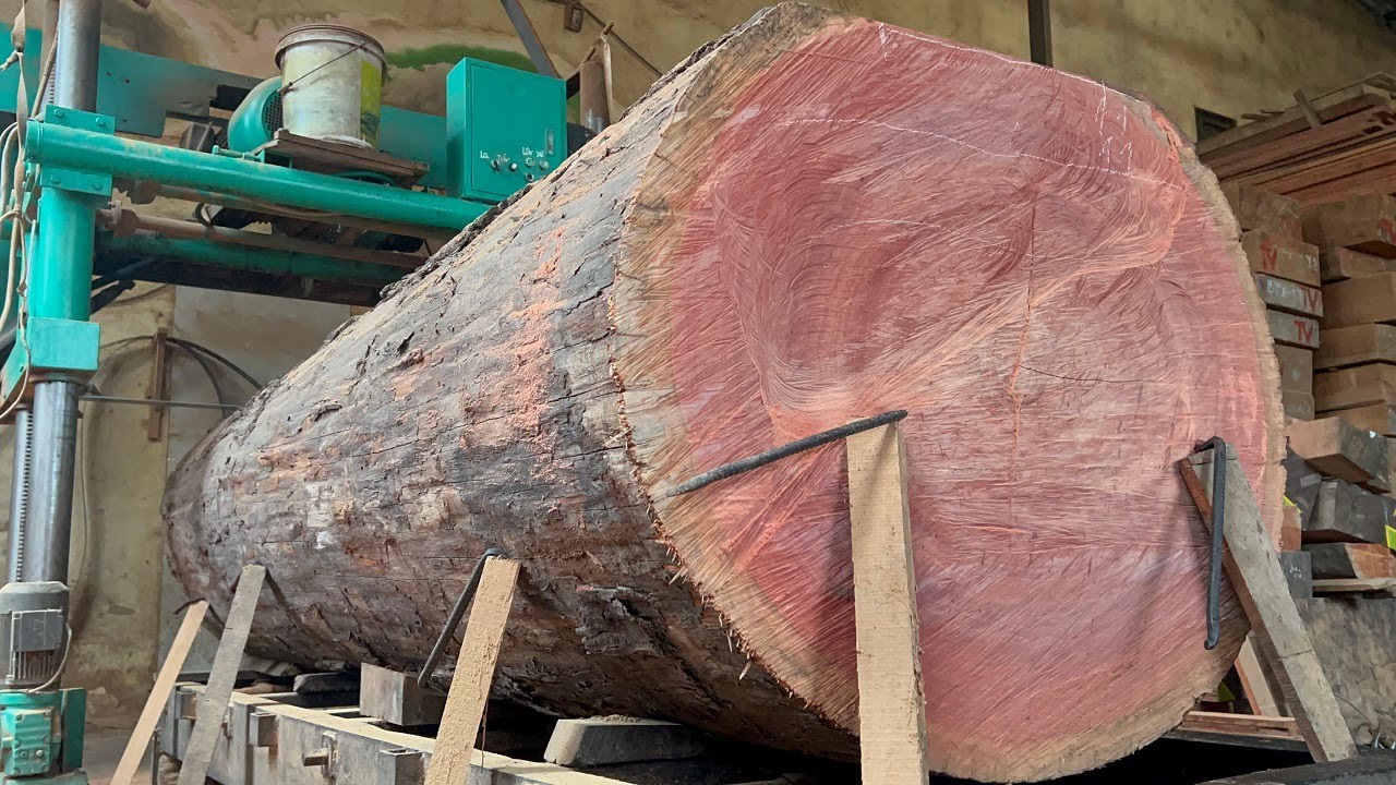 Wood Cutting Skills. Super Big Thousand | See What The Man Does With ...