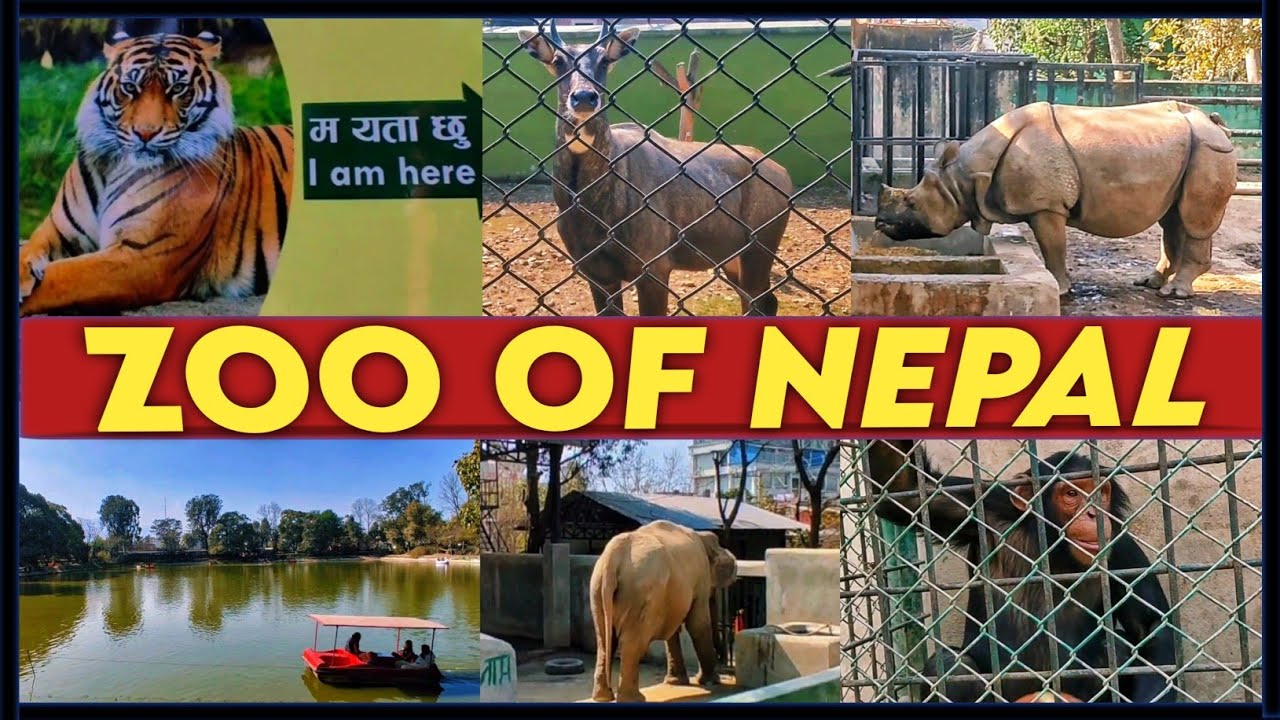 CENTRAL ZOO OF NEPAL /Chidiyakhana /Place to Visit near To Kathmandu ...