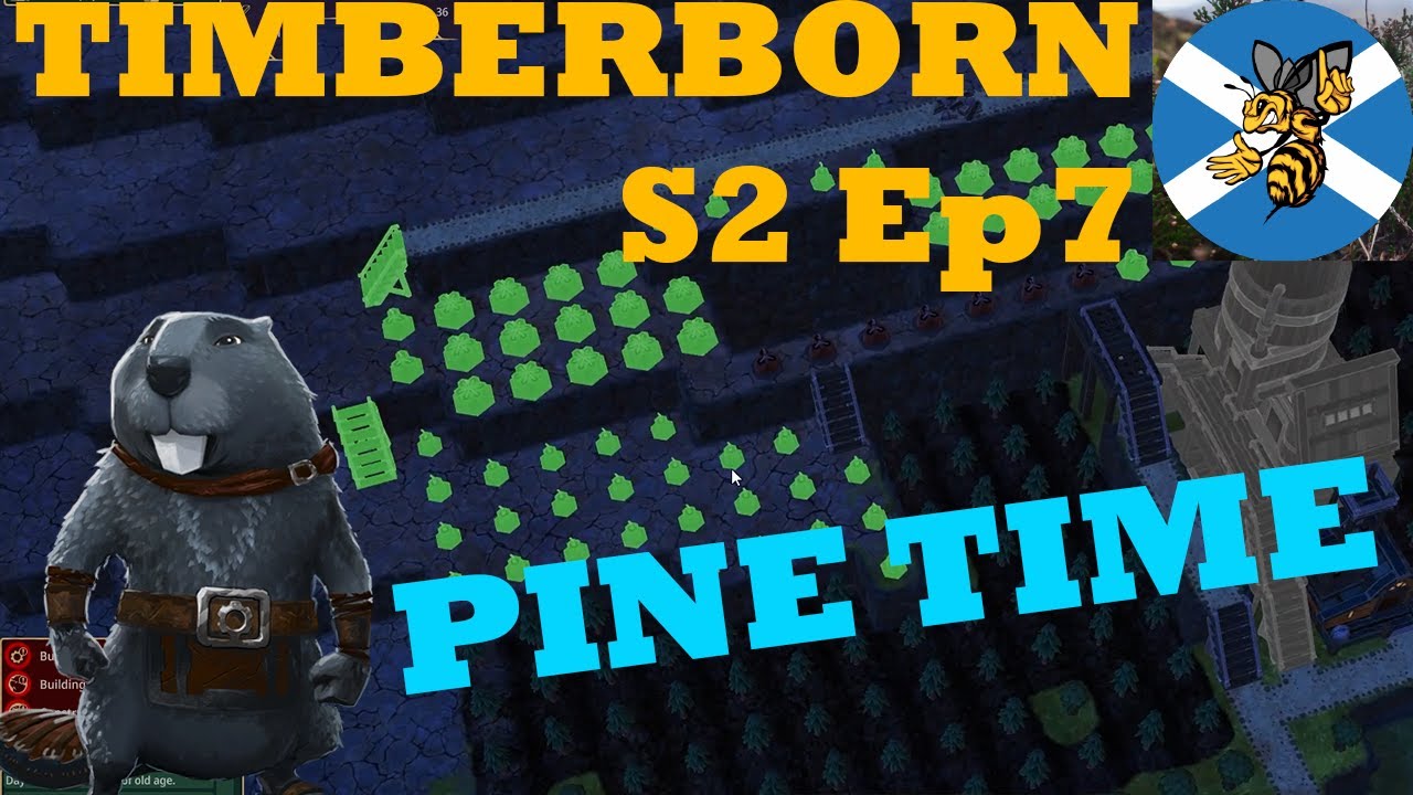 PINE TIME: Timberborn UPDATE 5 S2 Ep7 - YouTube