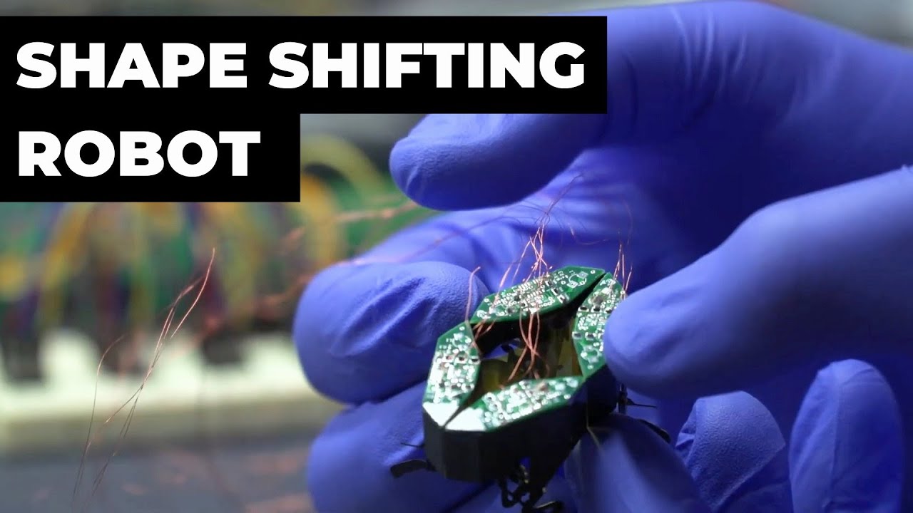 Clari Tiny Shape Shifting Robot Can Squish Itself Into Tight Spaces