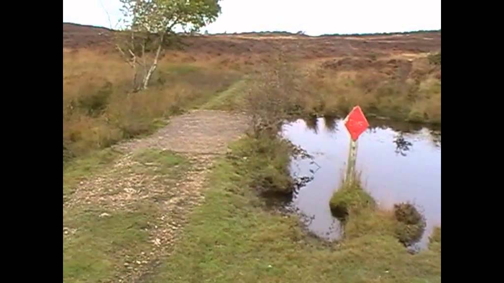 POOLE HARBOUR TRAIL WALK 3 - YouTube