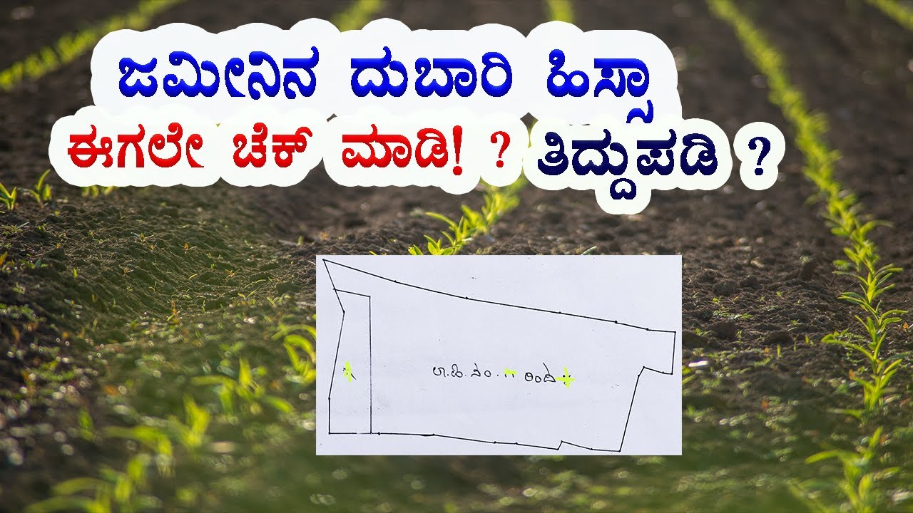ಜಮೀನಿಗೆ ಇರುವ ದುಬಾರಿ ಹಿಸ್ಸಾ ಬಗ್ಗೆ ತಿಳಿದುಕೊಳ್ಳಿ // ದುಬಾರಿ ಹಿಸ್ಸಾ Double ...