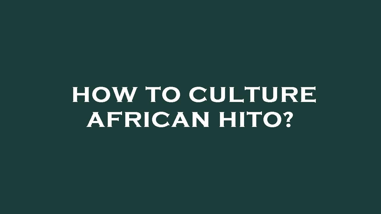 How to culture african hito? - YouTube
