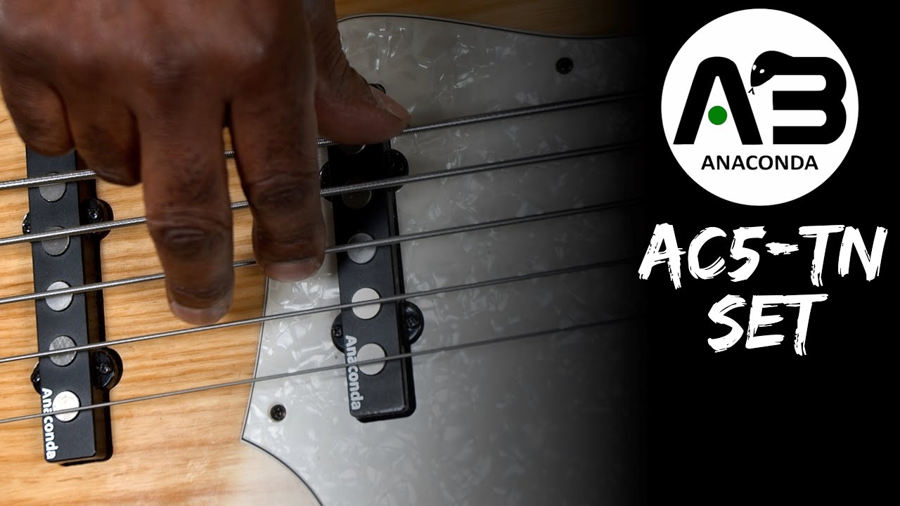 Stingray Punch with Jazz Versatility // Anaconda AC5-TN Pickups - YouTube