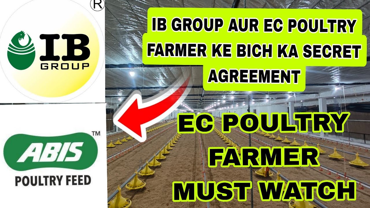 IB GROUP ABIS Agreement with Poultry Farmer | Terms & Condition | Open ...