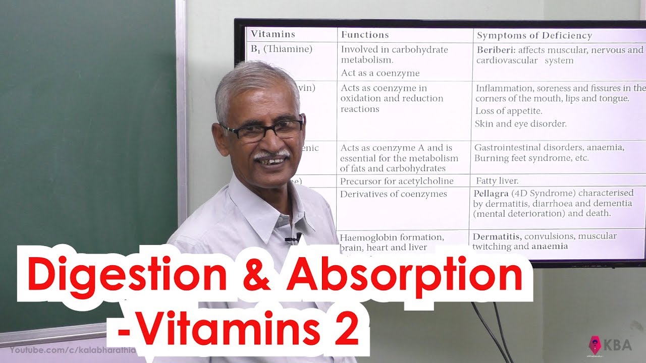 25.Zoology | Digestion and Absorption | Vitamins 2 - YouTube